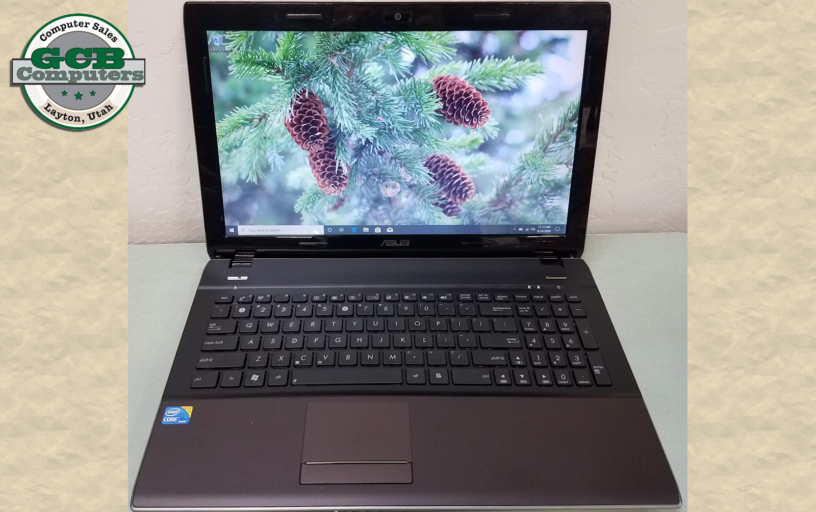 pinecone – GCB Computers