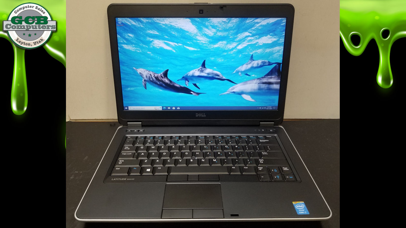 dolphins – GCB Computers