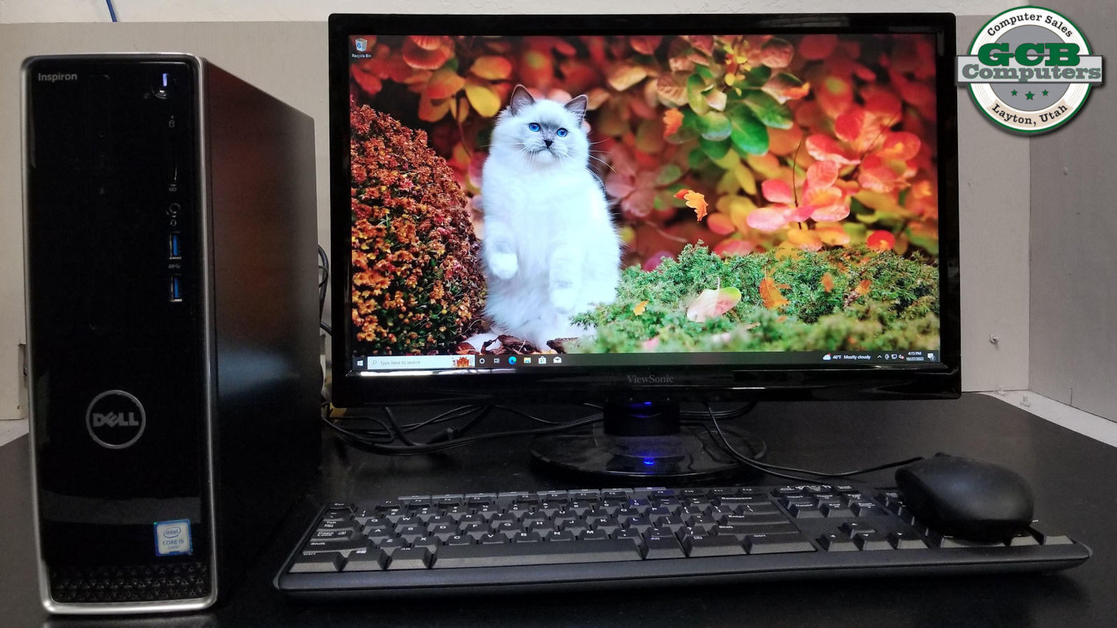 whitecat – GCB Computers