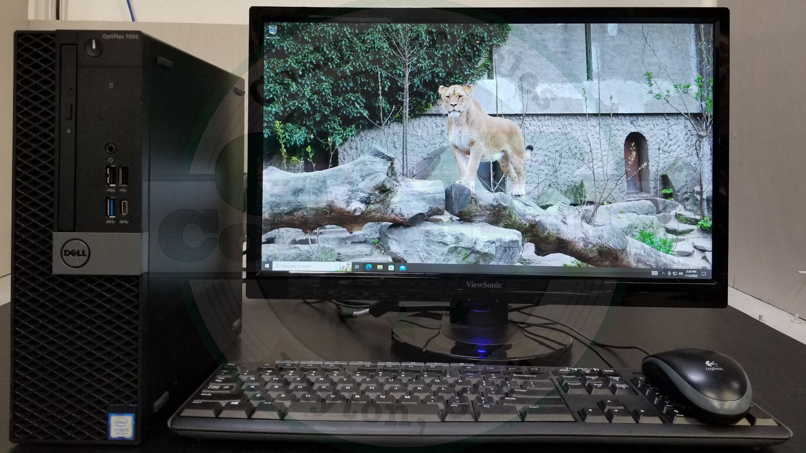 cougaronrock – GCB Computers