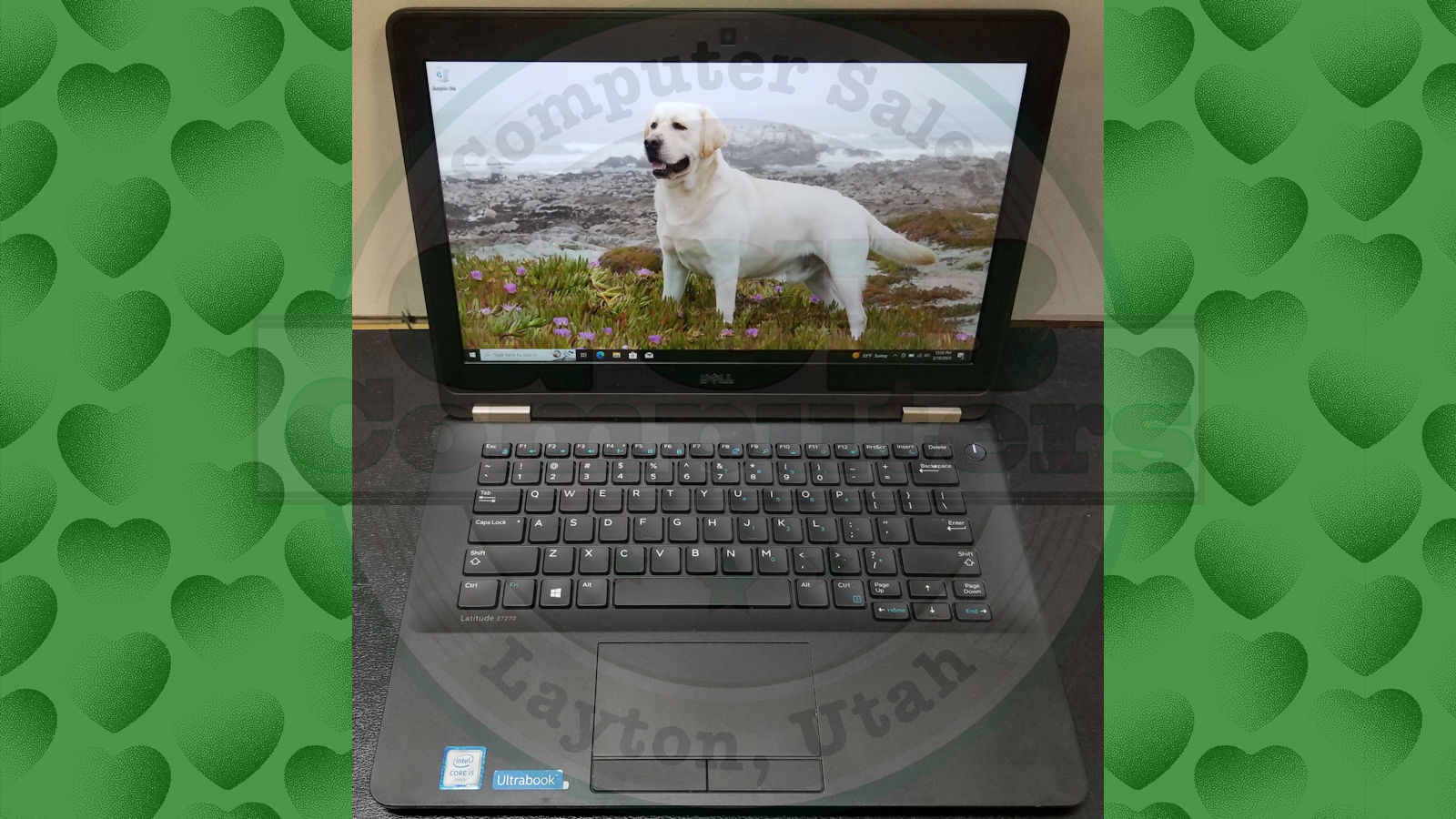 labrador – GCB Computers