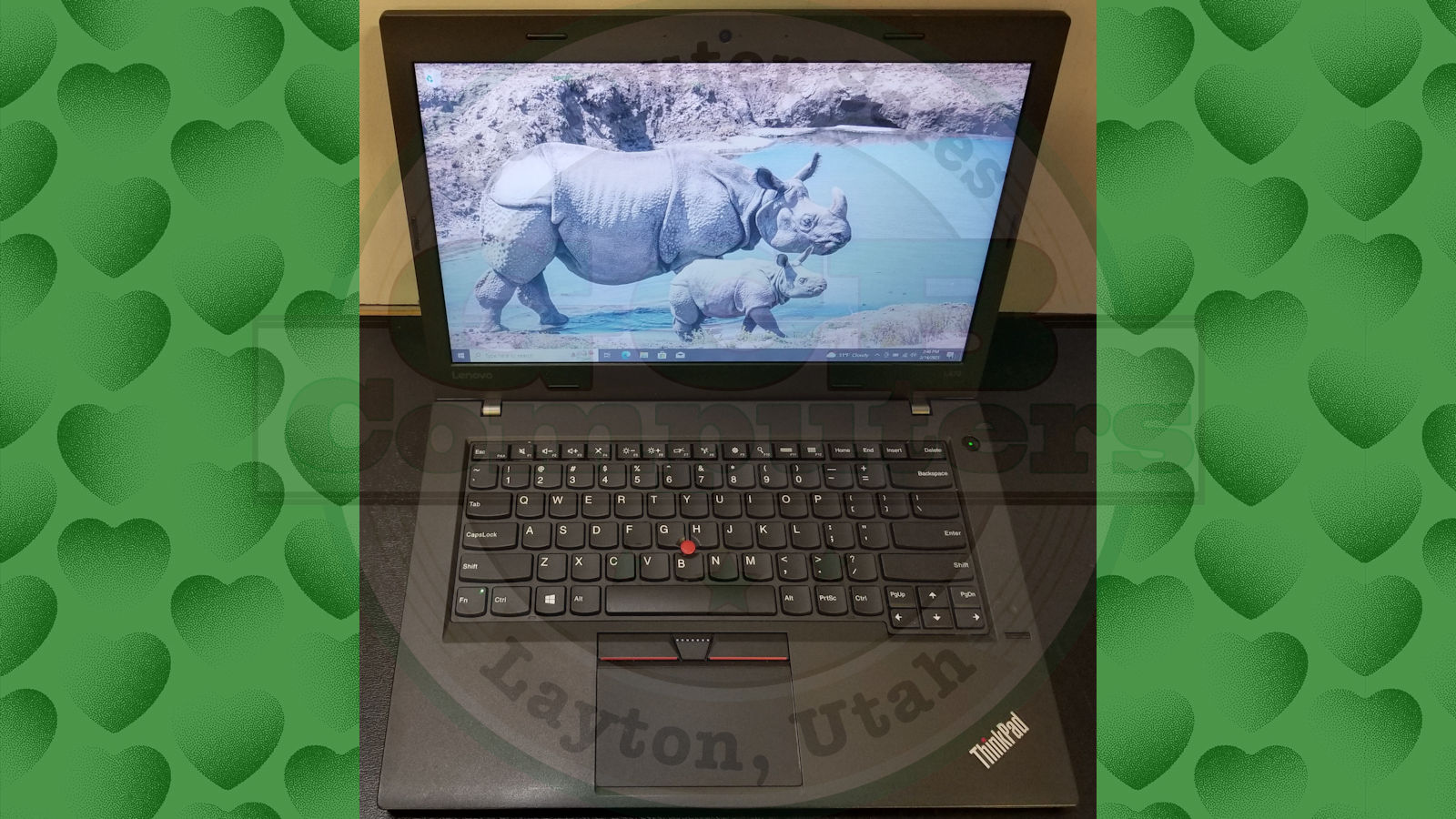 rhinos – GCB Computers