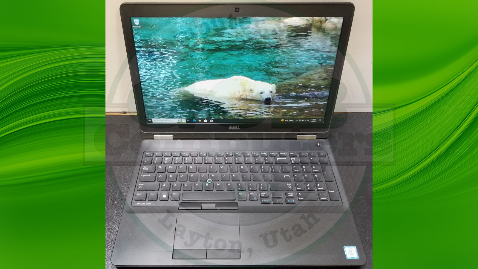 polarbearswim – GCB Computers