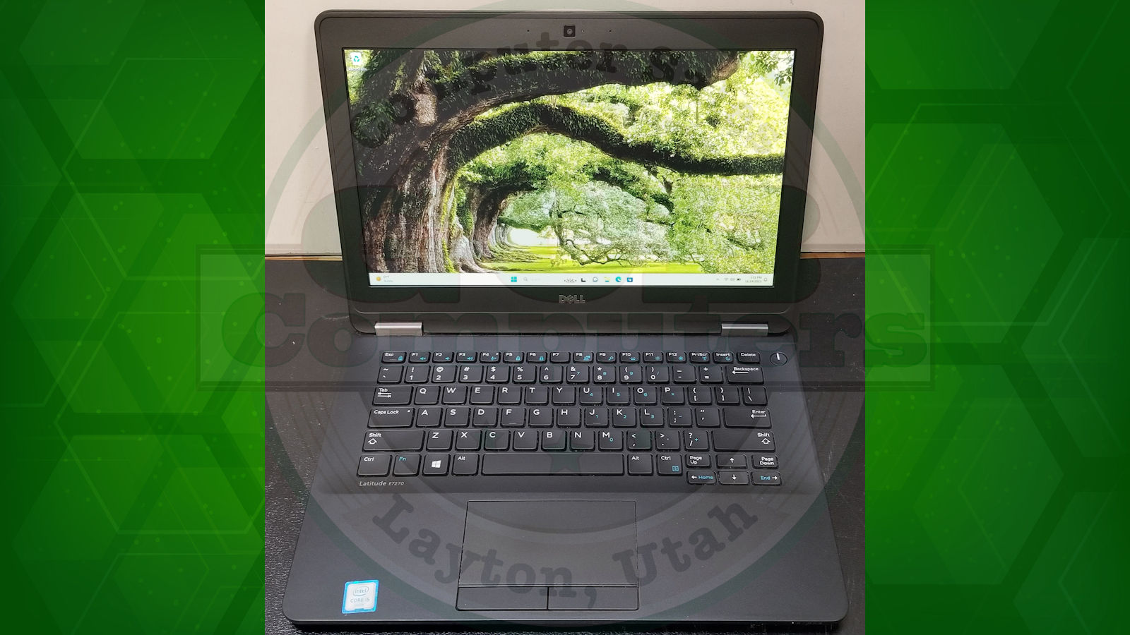 ivybranches – GCB Computers