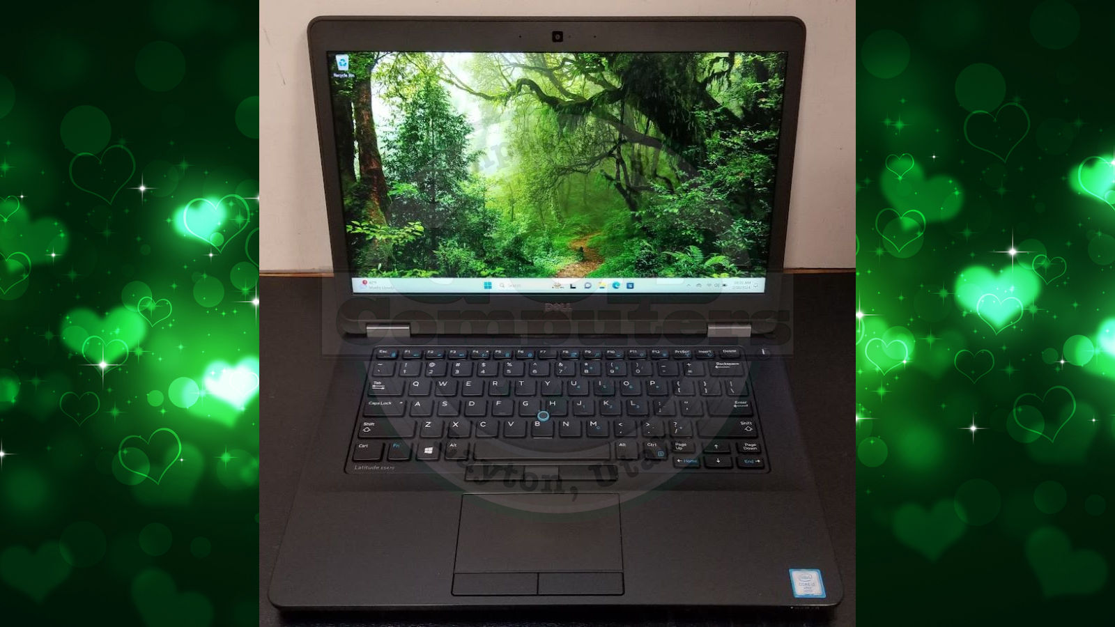 junglepath – GCB Computers