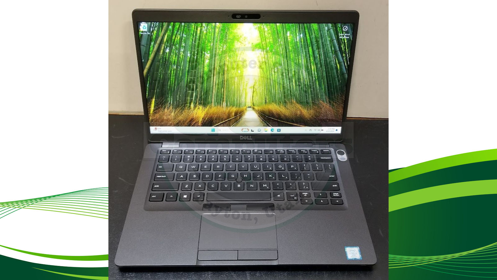 tallbambootrees – GCB Computers