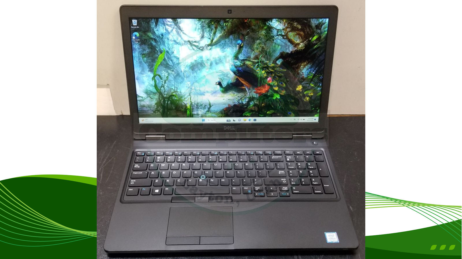 peacock – GCB Computers